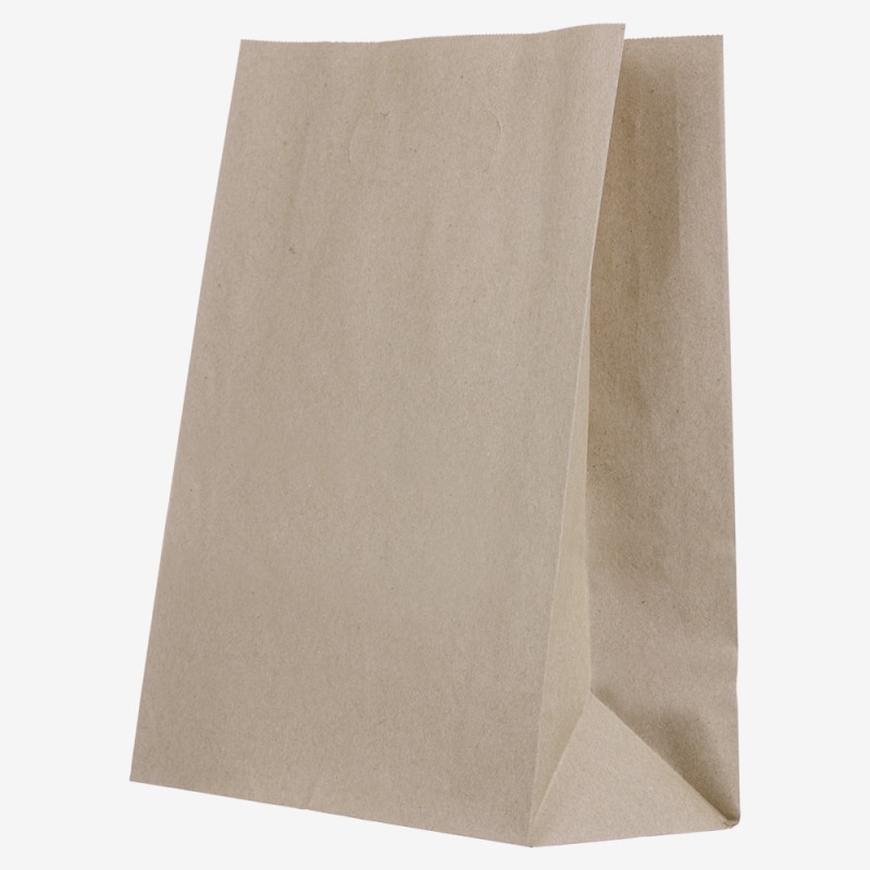 Kraft handle paper bags