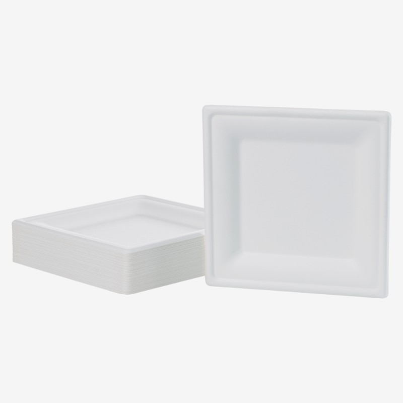 White sugarcane plates square