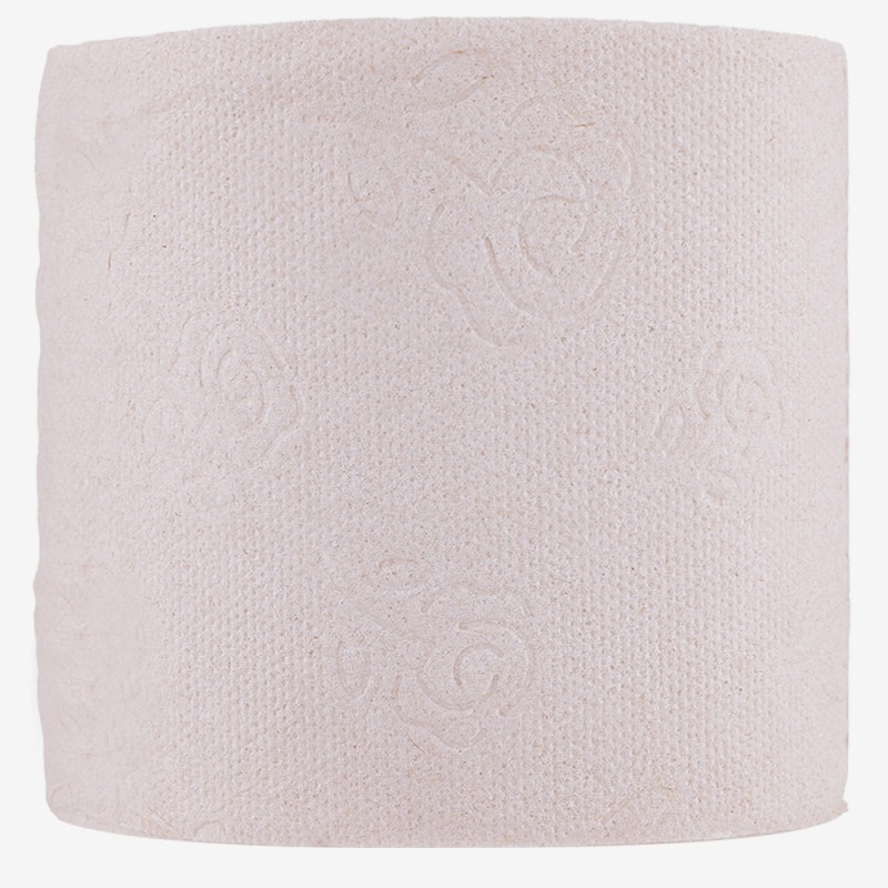 Toilet paper Econat 2 ply 10 rolls Lucart