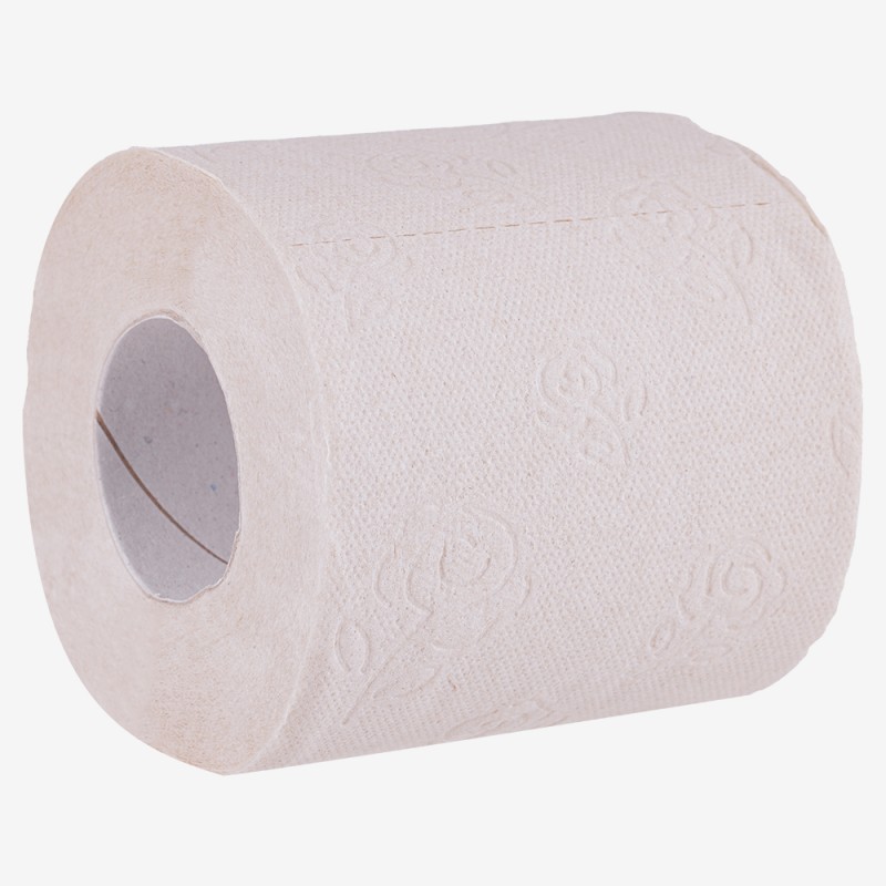 Toilet paper Econat 2 ply 10 rolls Lucart